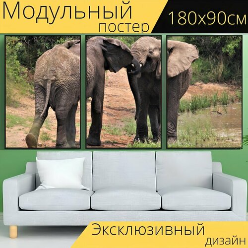 Модульный постер "Африканские слоны, уши, хлопанье" 180 x 90 см. для интерьера