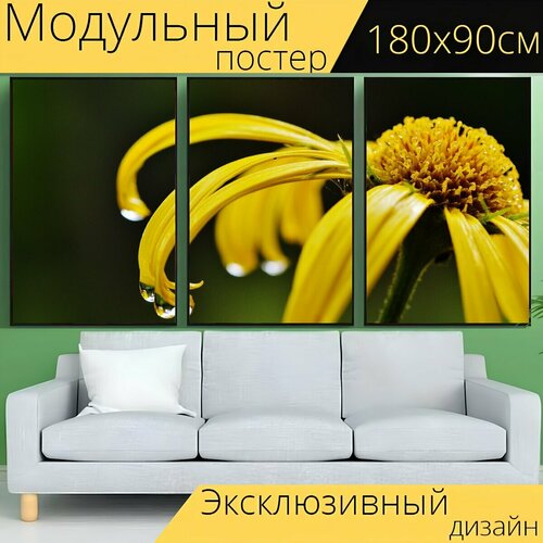 Модульный постер "Цветок, желтый, весна" 180 x 90 см. для интерьера
