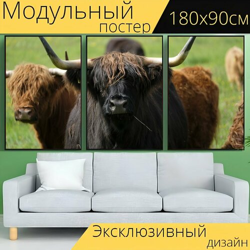 Модульный постер "Говядина, корова, животное" 180 x 90 см. для интерьера