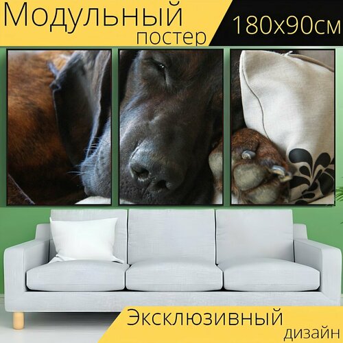 Модульный постер "Уг, ганновер шер сварочные собака, грубый" 180 x 90 см. для интерьера