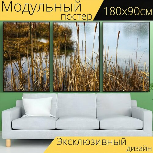 Модульный постер "Вода, тростник, озеро" 180 x 90 см. для интерьера