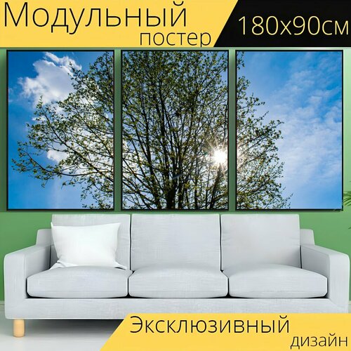 Модульный постер "Верхушка дерева, весна, подсветка" 180 x 90 см. для интерьера