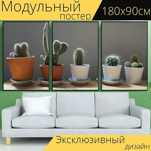 Модульный постер "Кактус, растения, дом" 180 x 90 см. для интерьера