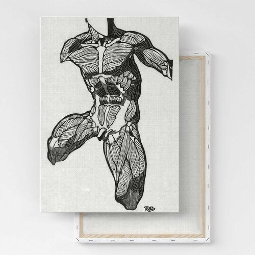 Картина на холсте, репродукция / Рейер Столк - Neck, stomach and thigh muscles / Размер 30 x 40 см
