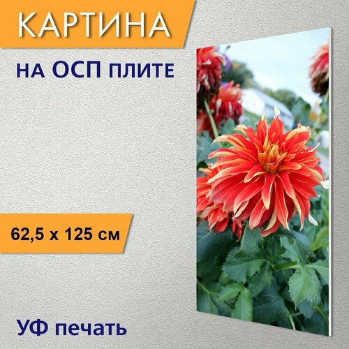 Вертикальная картина на ОСП "Красный, оранжевый цветок, цветок" 62x125 см. для интерьериа