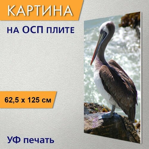 Вертикальная картина на ОСП "Пеликан, птица, вода" 62x125 см. для интерьериа