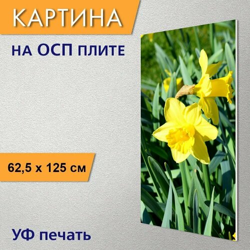 Вертикальная картина на ОСП "Нарциссы, растения, цветы" 62x125 см. для интерьериа