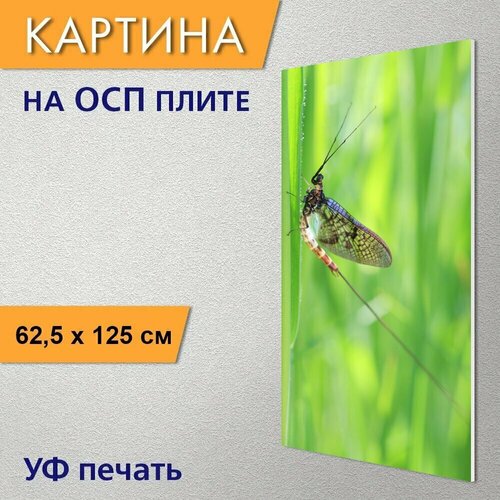 Вертикальная картина на ОСП "Поденок, летать, насекомое" 62x125 см. для интерьериа