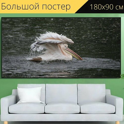 Большой постер "Пеликан, птица, озеро" 180 x 90 см. для интерьера