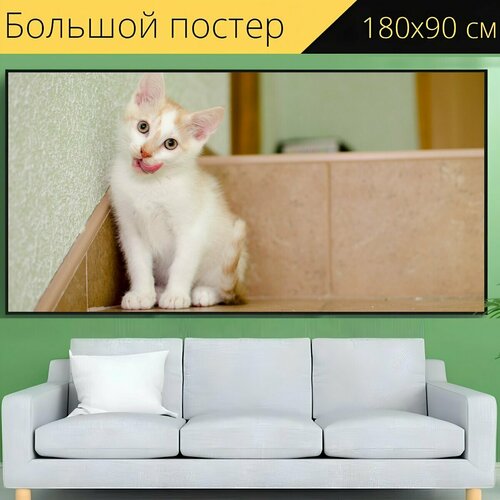 Большой постер "Кошка, домашняя кошка, даховец" 180 x 90 см. для интерьера
