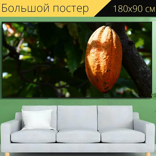 Большой постер "Какао, культивирование, фрукты" 180 x 90 см. для интерьера