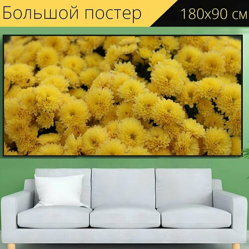 Большой постер "Хризантема, желтые цветы, природа" 180 x 90 см. для интерьера