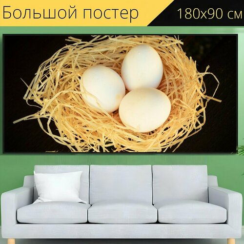 Большой постер "Яйца, белые яйца, питание" 180 x 90 см. для интерьера