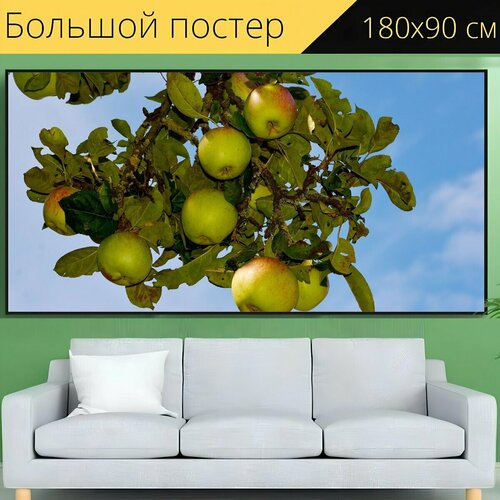 Большой постер "Яблоки, кустарник, фрукты" 180 x 90 см. для интерьера