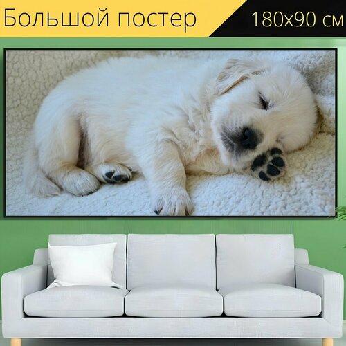 Большой постер "Щенок, молодая собака, щенок" 180 x 90 см. для интерьера