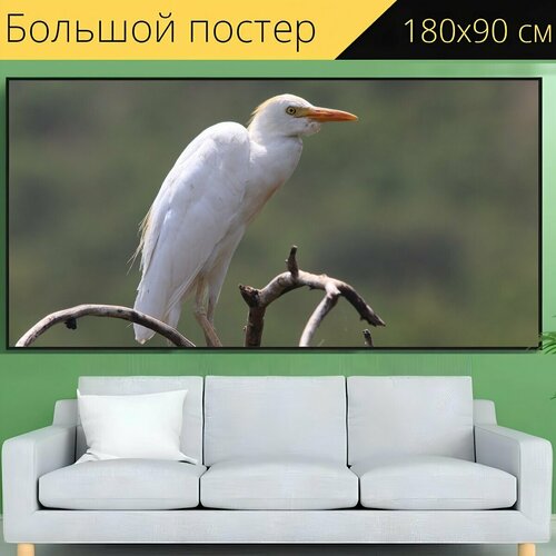 Большой постер "Птица, природа, животное" 180 x 90 см. для интерьера