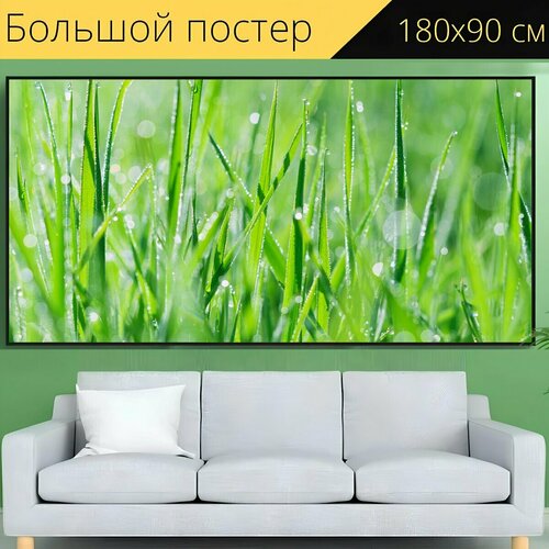 Большой постер "Мокрая трава, роса, летом" 180 x 90 см. для интерьера