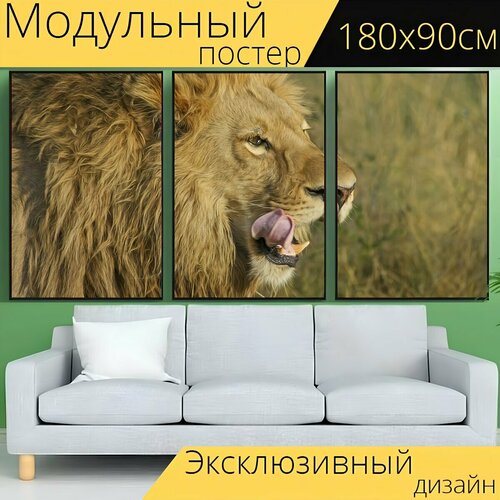 Модульный постер "Лев, хищник, кошачий" 180 x 90 см. для интерьера