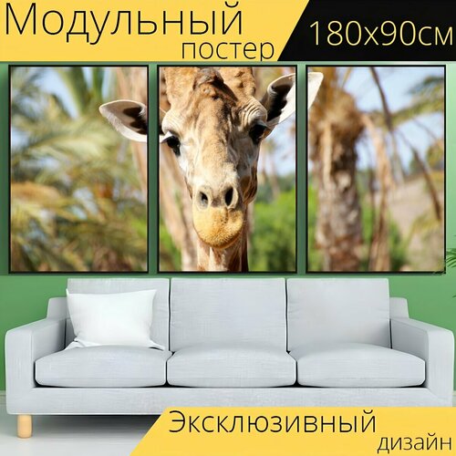 Модульный постер "Летом, жирафа, большой" 180 x 90 см. для интерьера