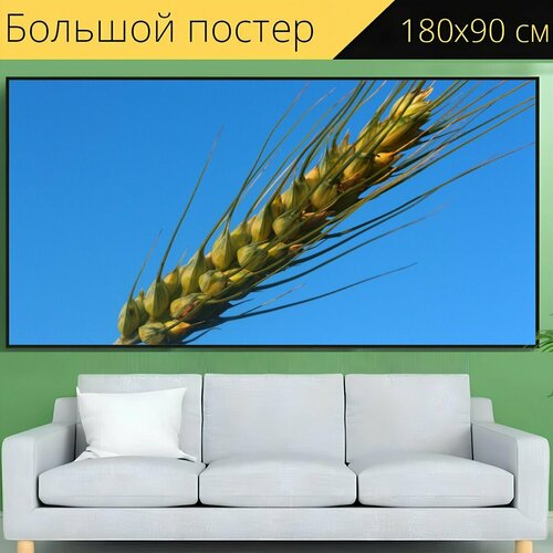Большой постер "Ухо, пшеница, мука" 180 x 90 см. для интерьера