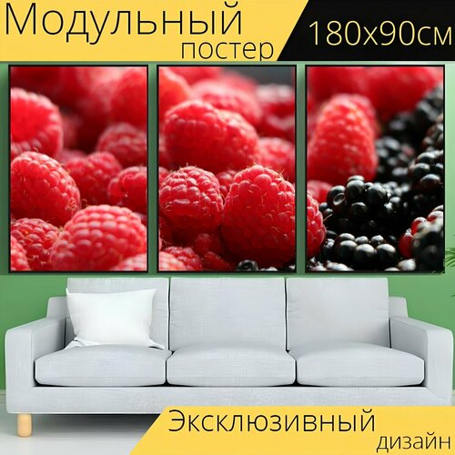 Модульный постер "Малина, ежевика, ягода" 180 x 90 см. для интерьера