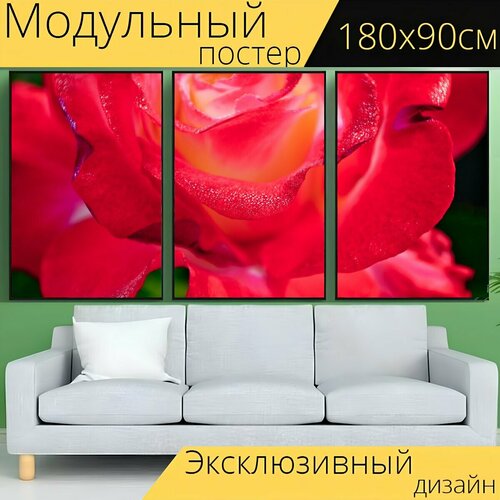 Модульный постер "Роза, красная роза, цветок" 180 x 90 см. для интерьера