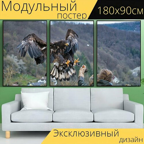 Модульный постер "Хищник, птица, соколиная охота" 180 x 90 см. для интерьера