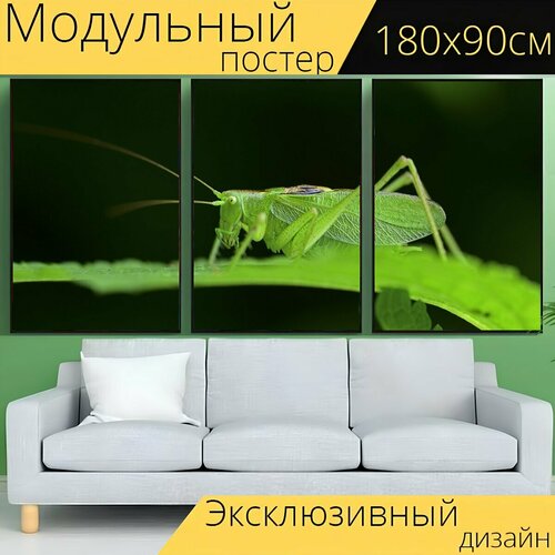 Модульный постер "Насекомое, насекомые, лето насекомые" 180 x 90 см. для интерьера