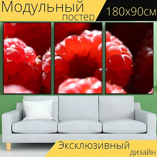 Модульный постер "Малина, макрос, витамин" 180 x 90 см. для интерьера