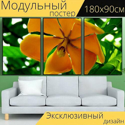 Модульный постер "Желтый, цветок, свежий" 180 x 90 см. для интерьера