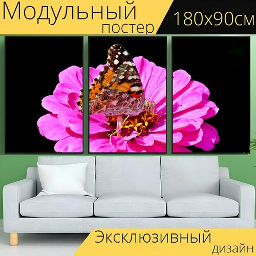 Модульный постер "Бабочка, насекомое, цветок" 180 x 90 см. для интерьера