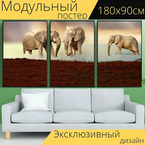 Модульный постер "Слон, животное, озеро" 180 x 90 см. для интерьера
