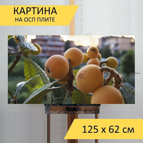 Картина на ОСП 125х62 см. "Мушмула, фрукты, природа" горизонтальная, для интерьера, с креплениями