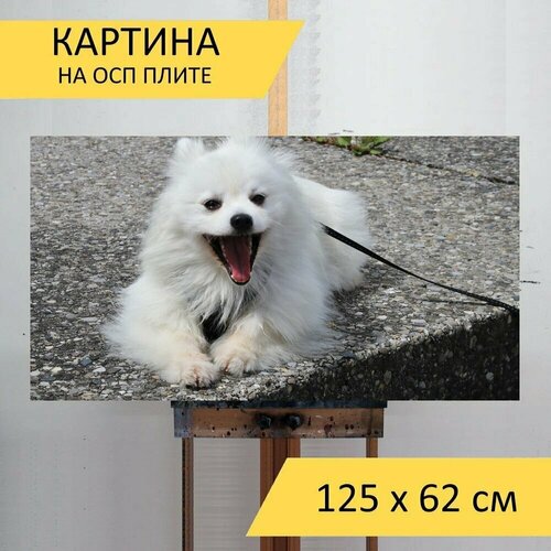 Картина на ОСП 125х62 см. "Порода собак, улыбка, выражение" горизонтальная, для интерьера, с креплениями