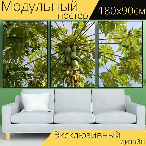 Модульный постер "Папайя, дерево, фрукты" 180 x 90 см. для интерьера
