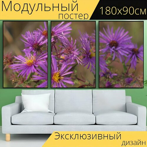 Модульный постер "Цветы, фиолетовый, природа" 180 x 90 см. для интерьера