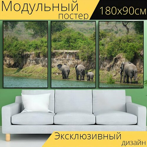 Модульный постер "Слоны, уганда, крутой берег" 180 x 90 см. для интерьера