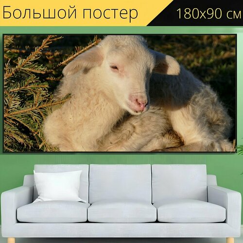 Большой постер "Баранина, овец, пасха" 180 x 90 см. для интерьера