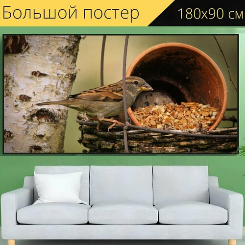 Большой постер "Воробей, место кормления, птица" 180 x 90 см. для интерьера