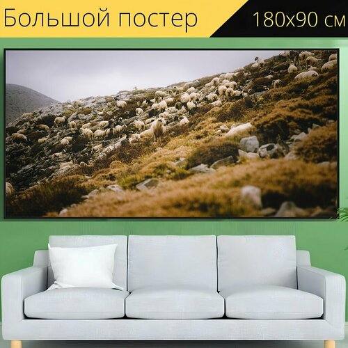 Большой постер "Овец, гора, природа" 180 x 90 см. для интерьера