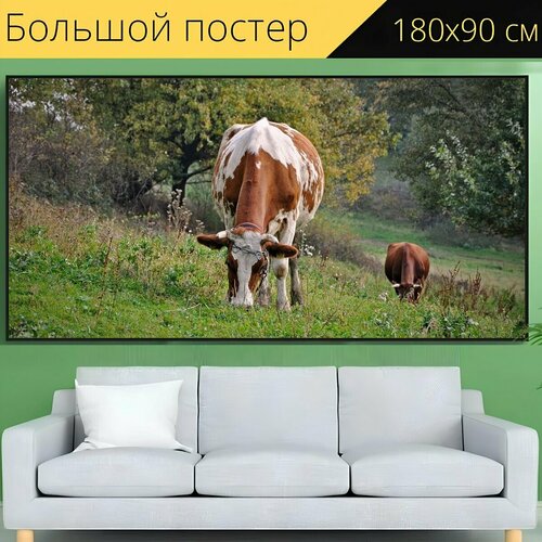 Большой постер "Корова, пастбище, животное" 180 x 90 см. для интерьера