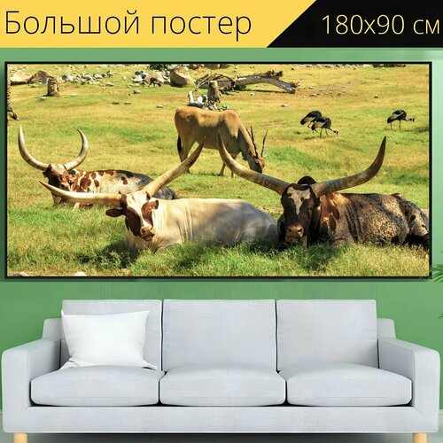 Большой постер "Крупный рогатый скот, африканец, африка" 180 x 90 см. для интерьера