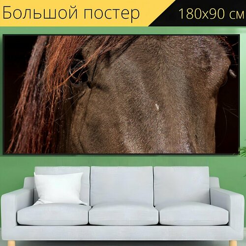 Большой постер "Лошадь, коричневый, закрывать" 180 x 90 см. для интерьера