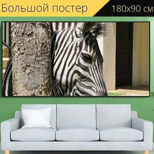 Большой постер "Зебра, животное, африка" 180 x 90 см. для интерьера