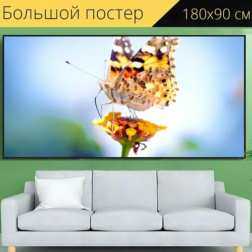 Большой постер "Природа, бабочка, насекомое" 180 x 90 см. для интерьера