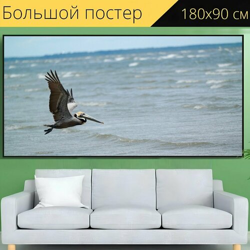 Большой постер "Животное, пляж, птица" 180 x 90 см. для интерьера