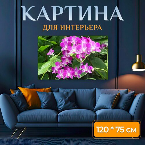 Картина на холсте "Орхидея, цветы, фиолетовый" на подрамнике 120х75 см. для интерьера