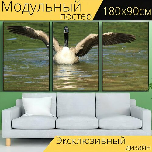 Модульный постер "Дикий гусь, вода, водоплавающая птица" 180 x 90 см. для интерьера