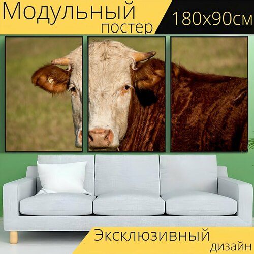 Модульный постер "Бык, крупный рогатый скот, склад" 180 x 90 см. для интерьера