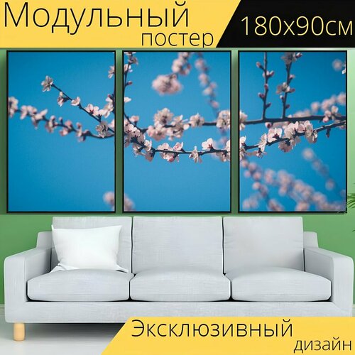 Модульный постер "Цветение персика, весна, персиковое дерево" 180 x 90 см. для интерьера
